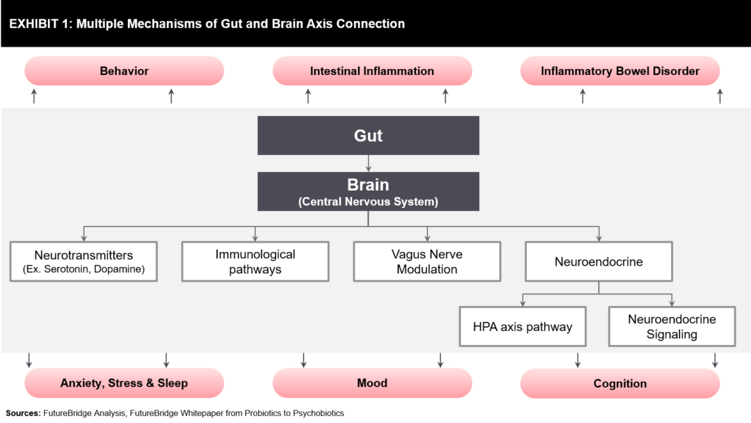 Psychobiotics – Emerging Next-Generation Probiotics for the Wellness of ...