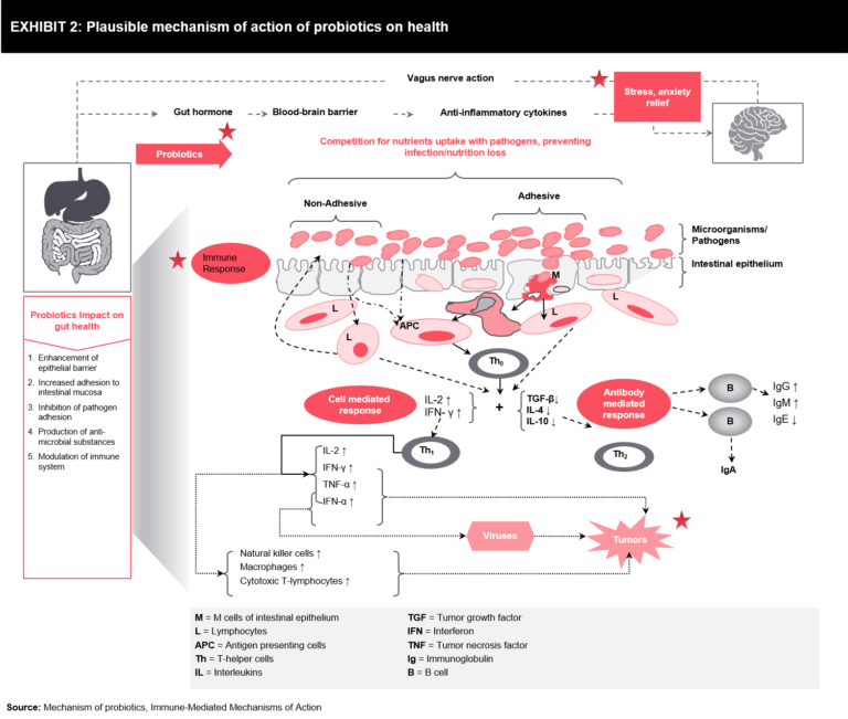 Psychobiotics – Emerging Next-Generation Probiotics for the Wellness of ...