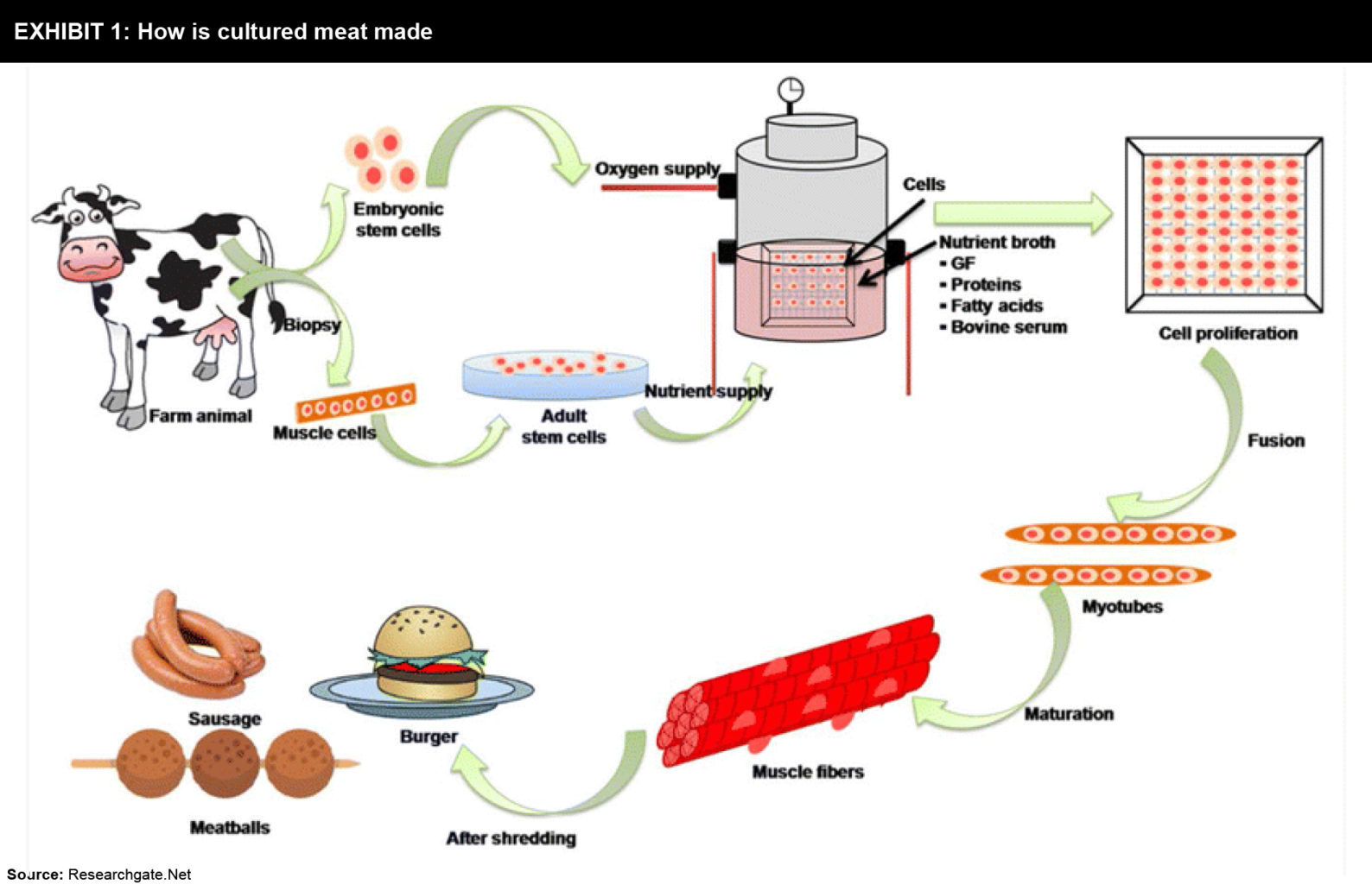 Cultured Meat - FutureBridge