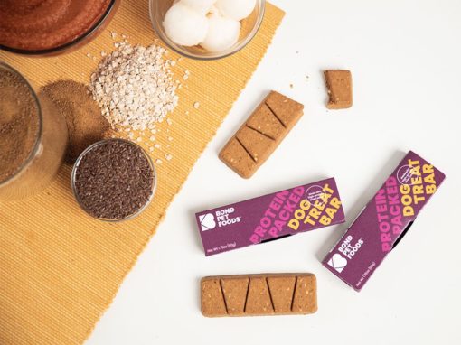 Alternative Proteins in Pet Food - FutureBridge