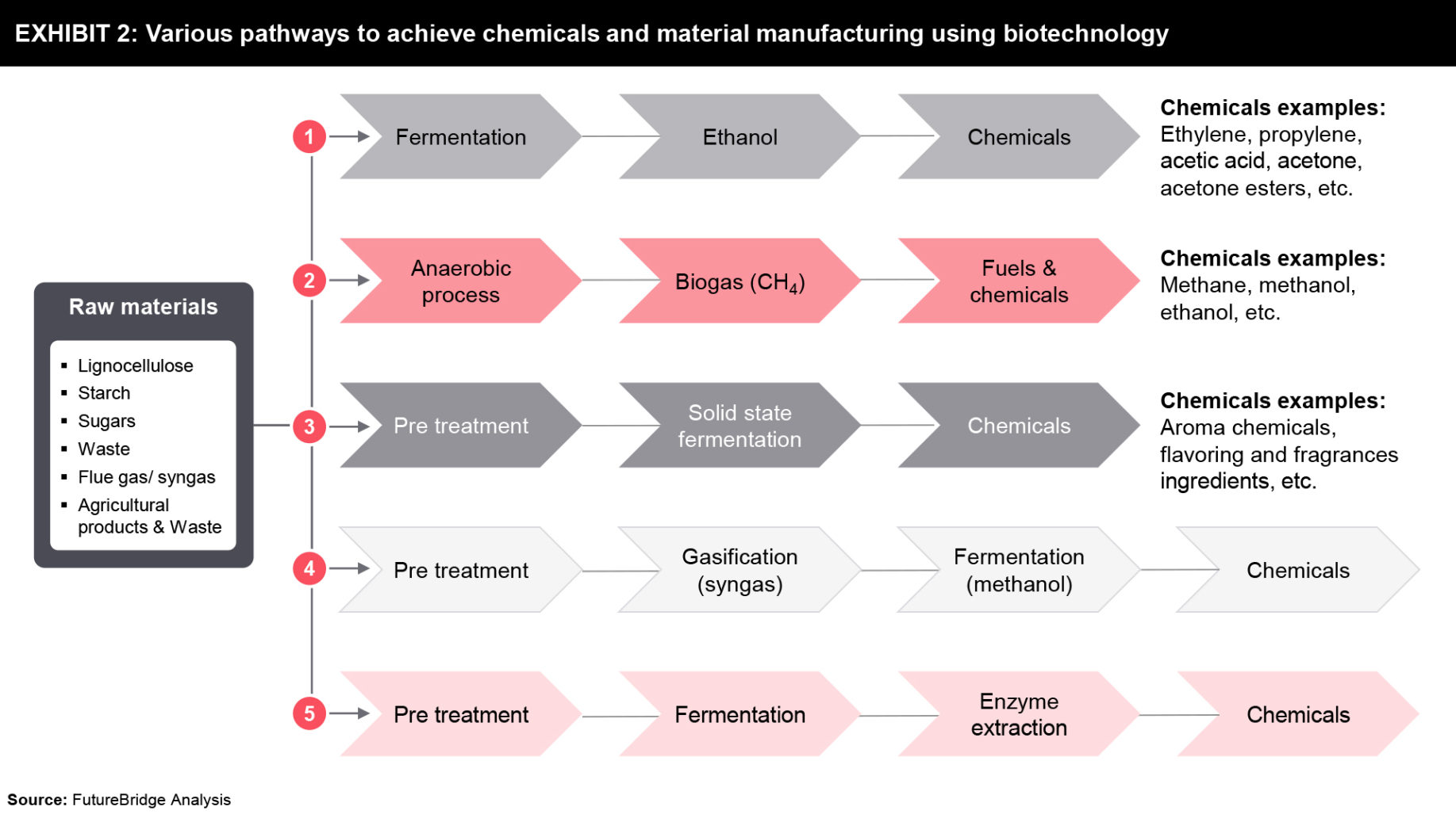 Biotechnology Opportunities and Challenges within Chemical Process ...