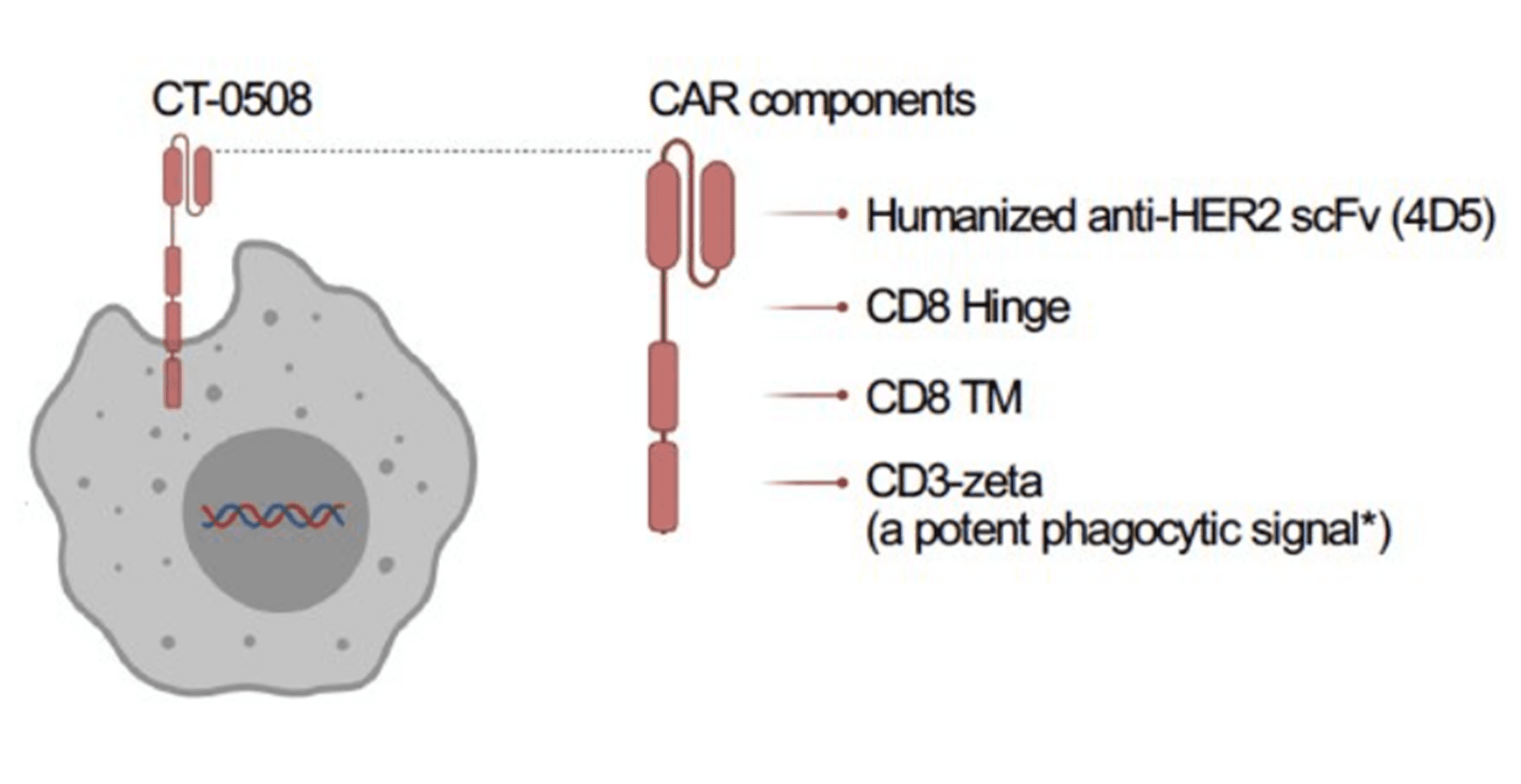 FutureBridge | Key Highlights from ASCO 2022 - Report #2 - FutureBridge