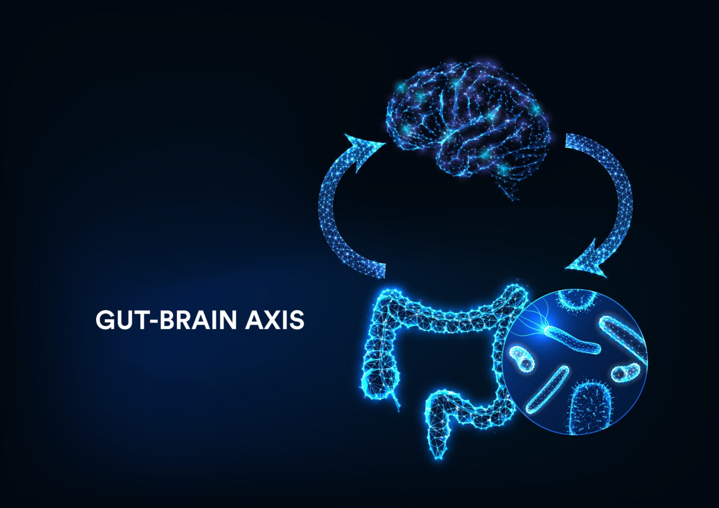 Gut-Brain Axis and Nutritional Solutions | Case Study | F&N | FutureBridge