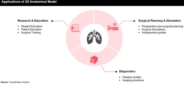 3D-Printed Anatomical Models | Life Sciences